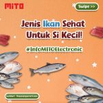 MITO – Jenis Ikan sehat untuk sikecil - Penjualan Barang Elektronik